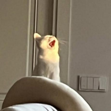 Alekseycorsello Aleksey Github