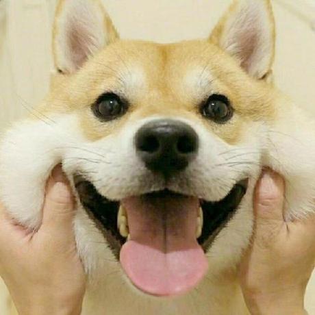 Akman Wyk Github - Premium Sunset Design Gallery - Ultra HD