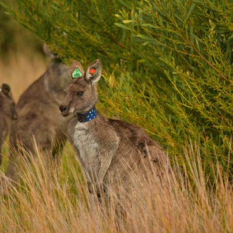 Sullivan James James Sullivan Github