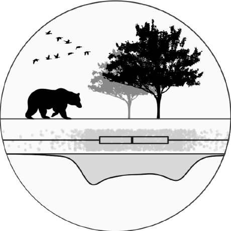 Data Science In Ecology And Environmental Science Github