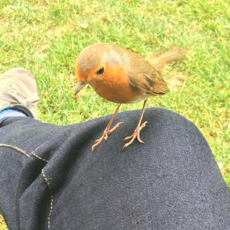 Sidonieb Sidonie Bellot Github