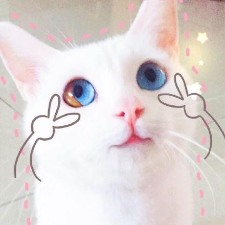 Lala Ay Vina Github - Ultra HD City Picture - Retina