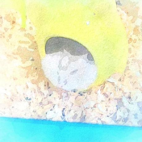 Ruhunglee Hung Github