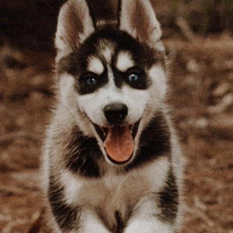 React Map Gl Draw Examples Codesandbox