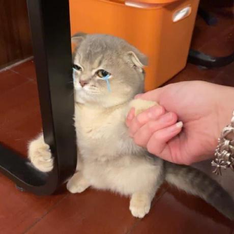 Github Duyvox Dev Date Time Checker - Beautiful City Design - Mobile