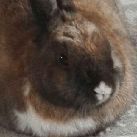 Stickypiston Development Github - Premium Vintage Texture Gallery - Desktop