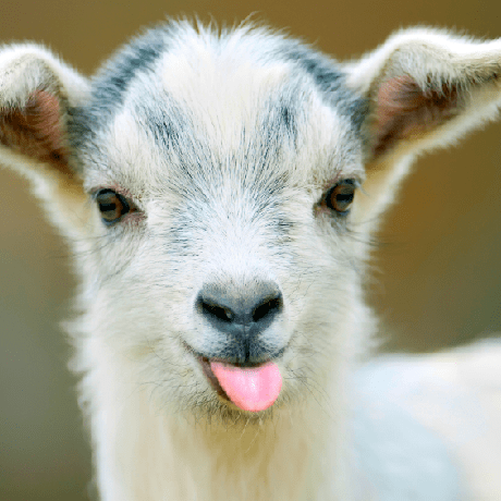 Github Geitenijs Keepchunks The Most Powerful Chunk Loading Plugin