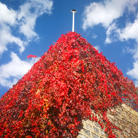 Issue 31 Calayzhou Mbnet Github - High Quality City Photo - Mobile