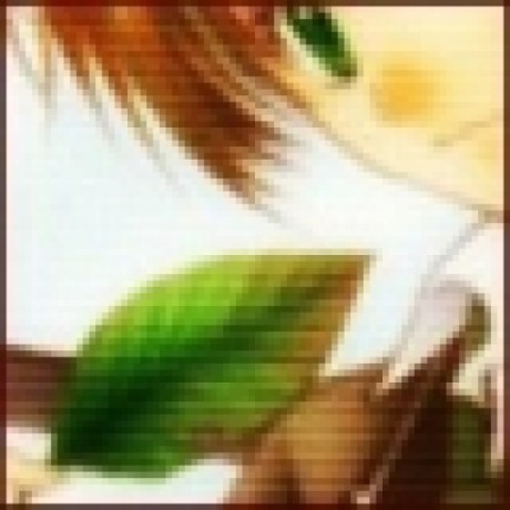 Freefcw Freefcw Github