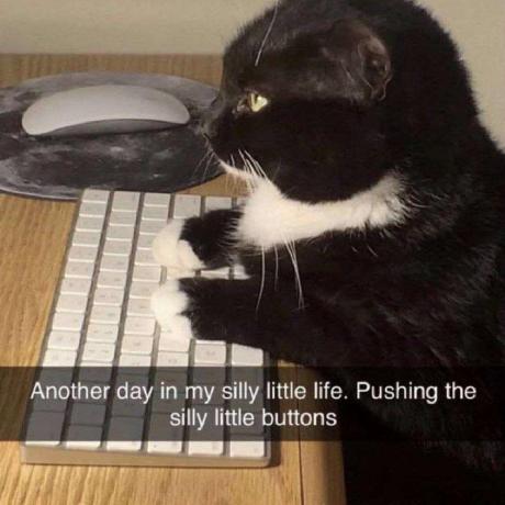 Elvarlax Elvar Laxdal Github - Download Stunning Gradient Photo | Ultra HD