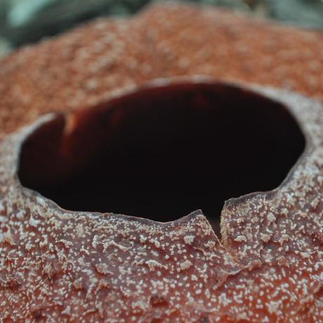 Joekusuma Jonathan Farrell Kusuma Github - Gradient Patterns - Gorgeous Ultra HD Collection