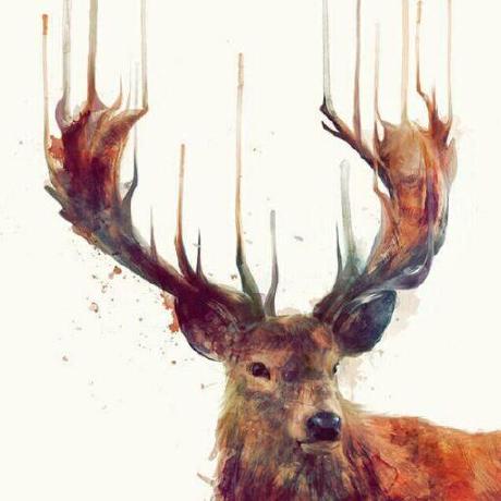 Sj Shijin Shi Jin Github