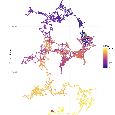Msraredon Micha Sam Brickman Raredon Github