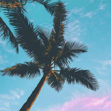 Percy99999 Percy Github