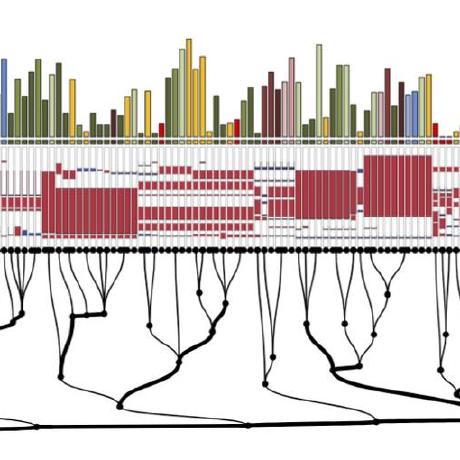The Mckenna Lab Github