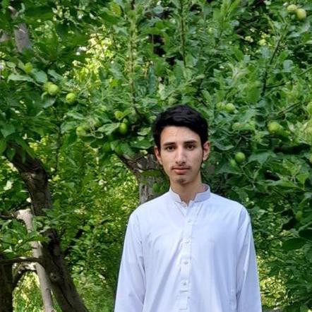 Thehadiahmadi Hadi Ahmadi Github