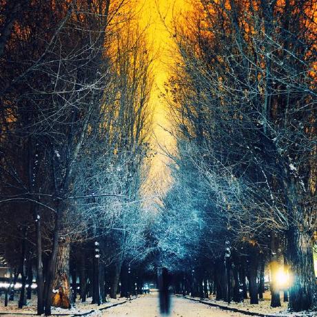 Derekmccr Derek Mccrae Github