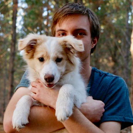 Seblague Sebastian Lague Github