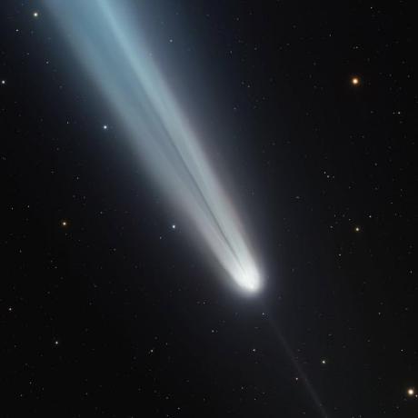 Manuelro Manuel C Github