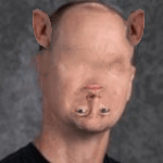 Gabotaco Gabe Github