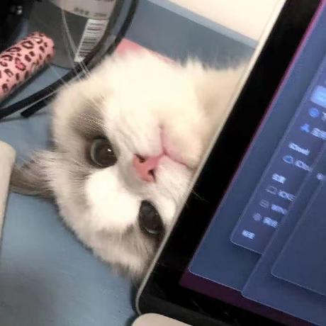 Vera Byte Vera Github