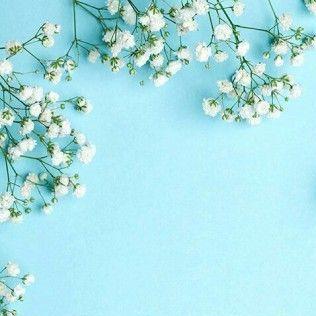 Valeria0014 Valeria Github