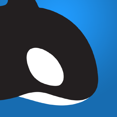 Orca Notes Github