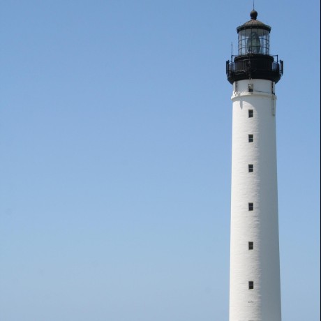 Ducasse Stéphaneducasse Github