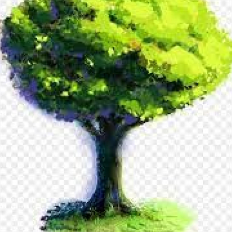 Biggant1 Cameron Github