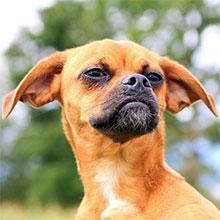 Esoteric Software Github - Amazing Light Wallpaper - Full HD