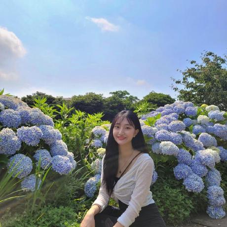 1kimjihyeon Hyeoni Github