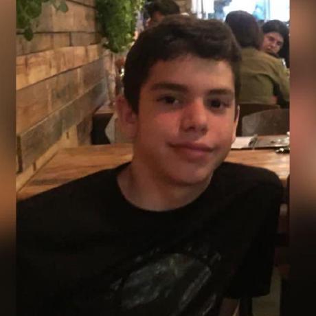 Arielvdd Ariel Barak Github