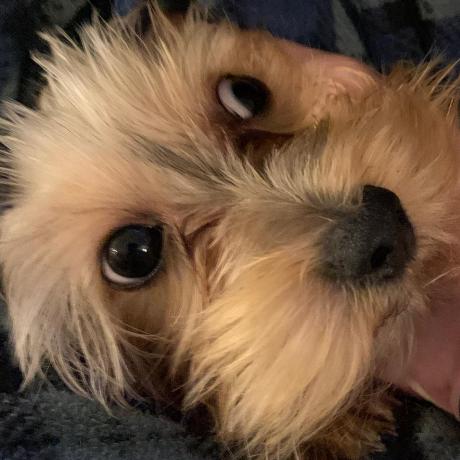 Fredclausen Fred Clausen Github