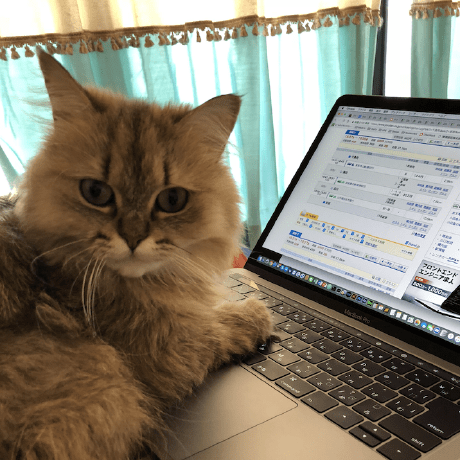 Cpgroup Kubota Rkdev Github