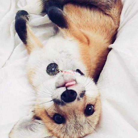 Automating Pip Package Deployment With Github Actions - Best Space Backgrounds in Desktop