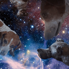 Suttonjo Josh Sutton Github