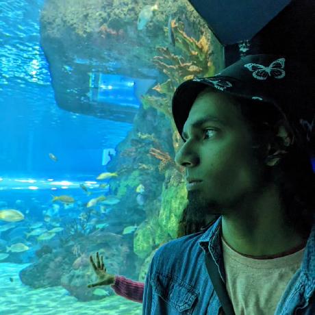 Dylanramper Dylan Rampersad Github