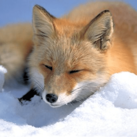 Github Lilydjwg Pssh Parallel Ssh Tools