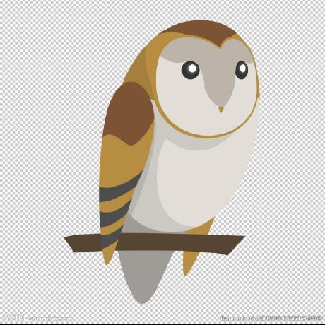 Pengfei196 Pengfei Github