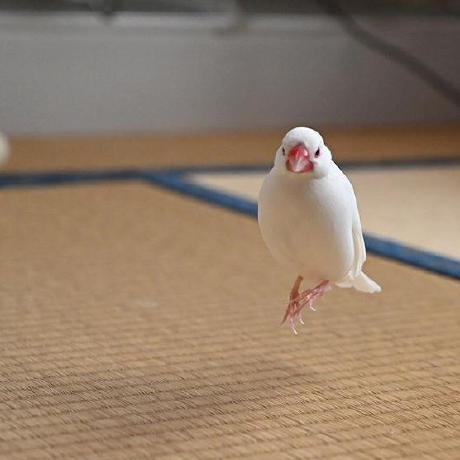 Tehkcode Johnathan Github