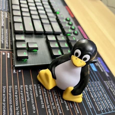 Gil Developer Gil Github