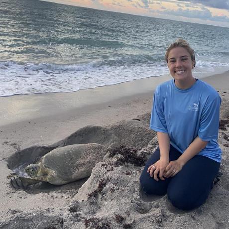 Aileenlavelle Aileen Lavelle Github