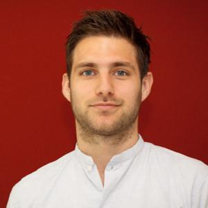 Nielseb Niels Buijtenhuis Github