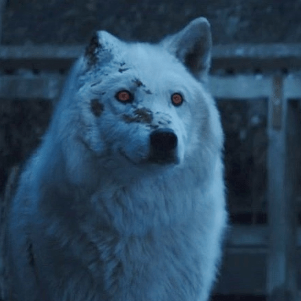 Yudobinus Yudo Kartiko Github