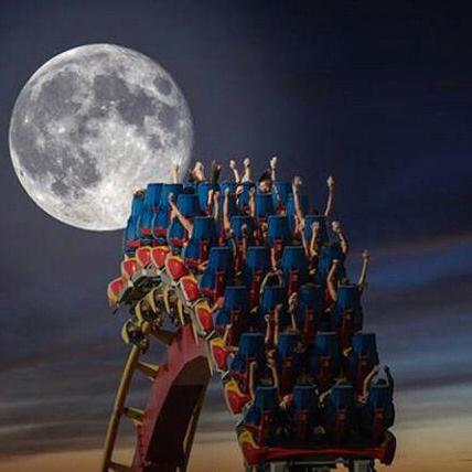 Mushroomizer Cuan Github