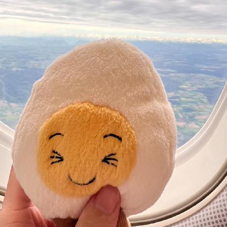 Ltzheng Longtao Zheng Github