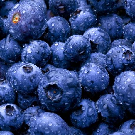 Nvalmazova Natalya Github