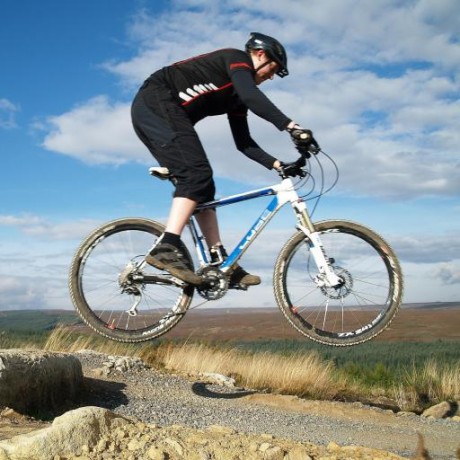 Garfbradaz Gareth Bradley Github - Download Artistic Nature Image | 4K