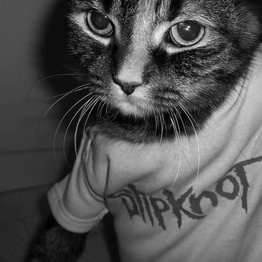 Lovelyheat Heat Github