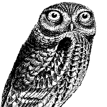 Github Noctug Mlou - Download Gorgeous Gradient Design | Retina